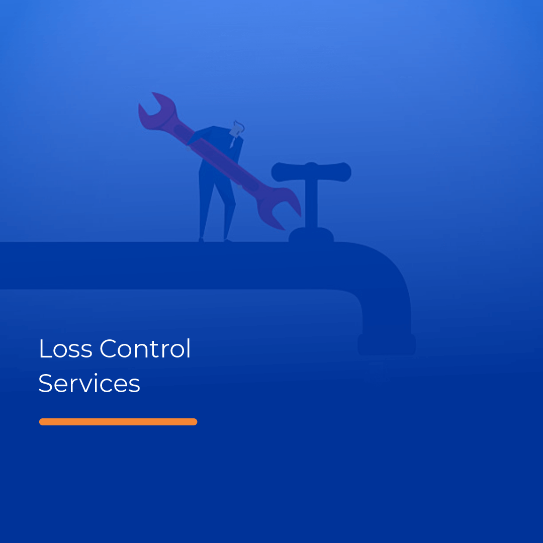 Loss Control Services – LINSWALE Risk Management Consultancy Limited